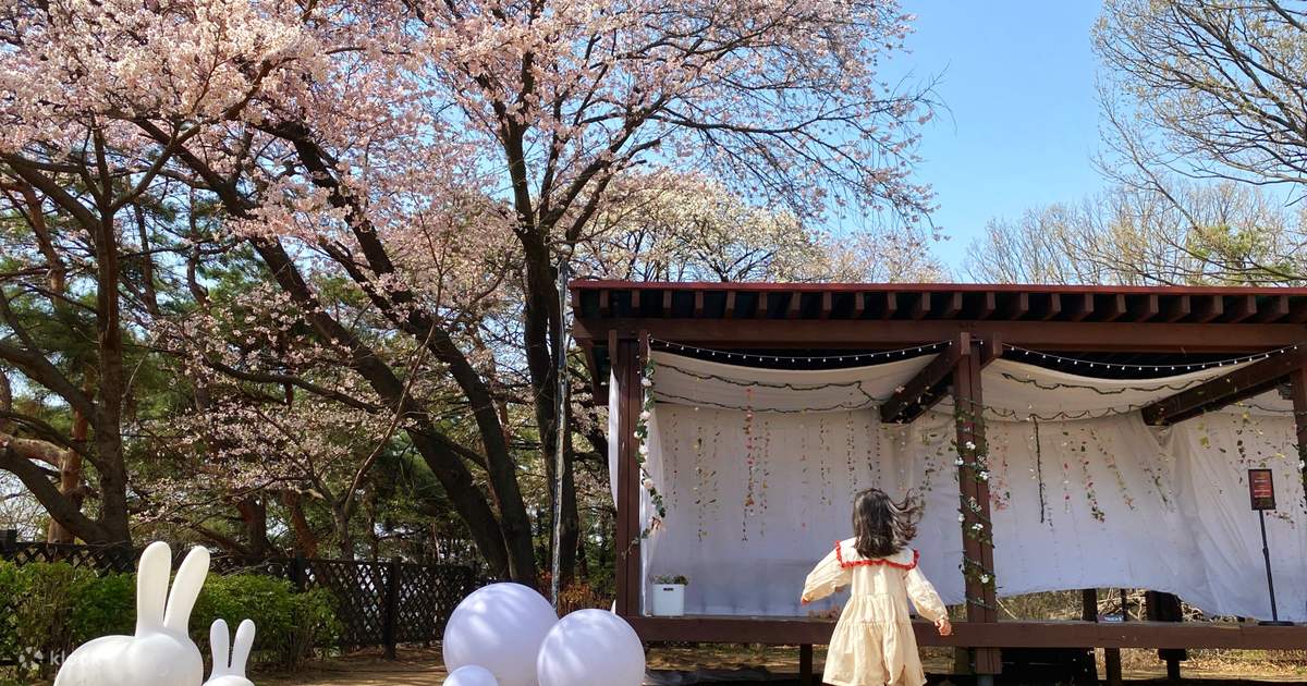 [Day tour from Seoul] Nami Island, Water Garden, Namhansanseong - Klook